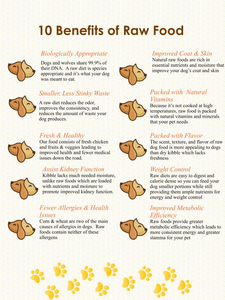 Why Feed Raw | Raw4Paws